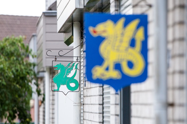 Open-air spectacle Dragonfest in Beesel | VVV Hart van Limburg