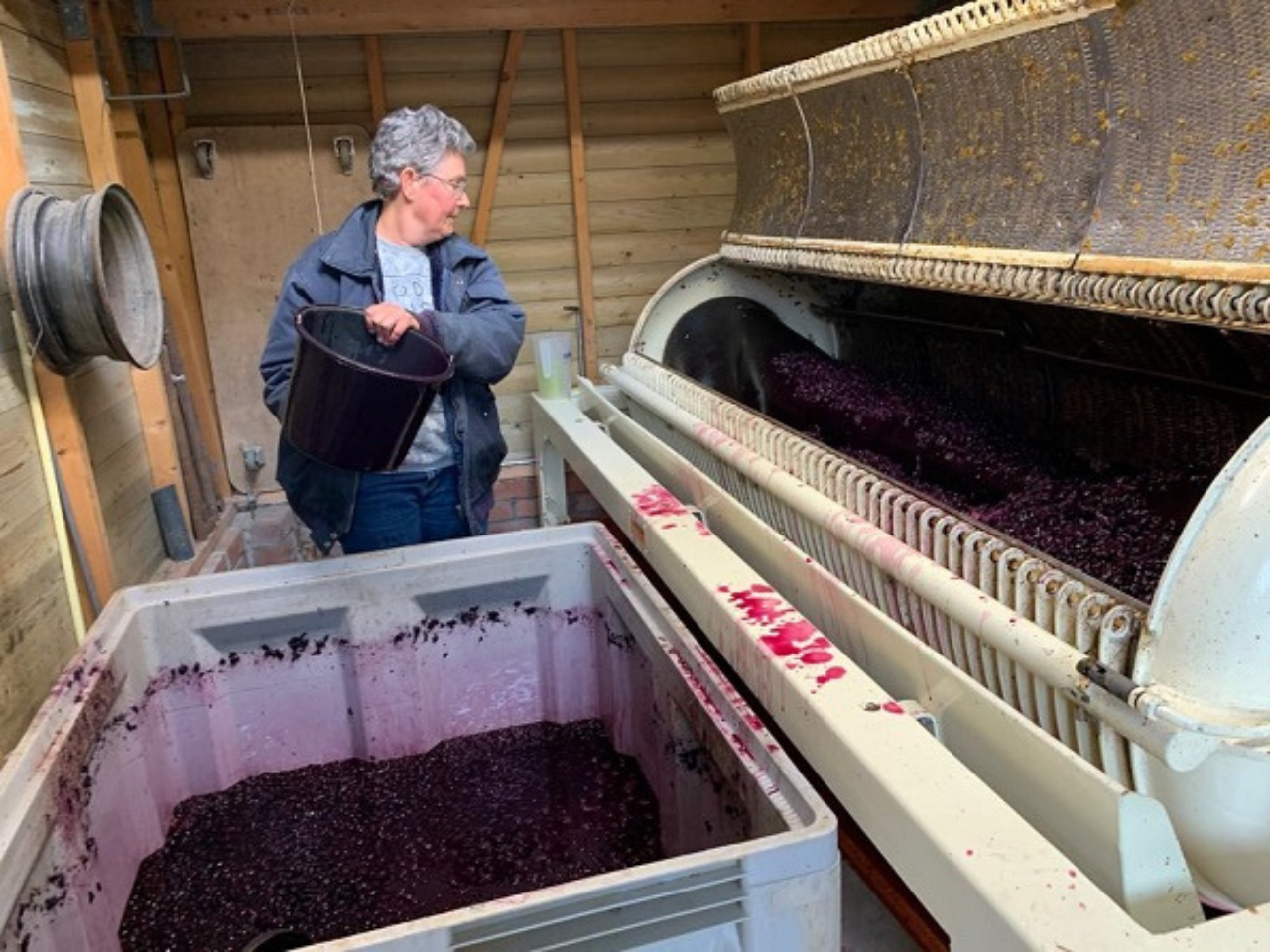 The narrowest part of the Netherlands: Echt - Susteren | VVV Hart van ...