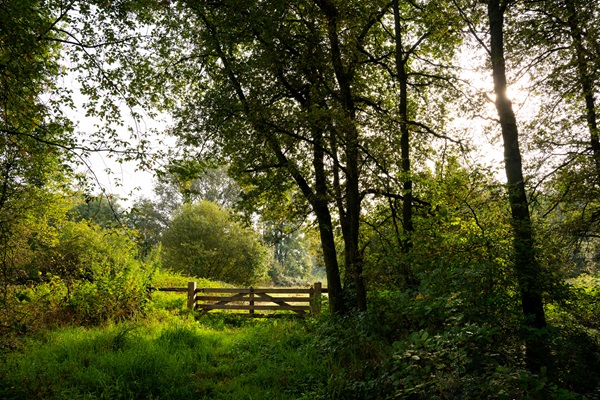 Natuurgebieden in Nederweert | VVV Hart van Limburg